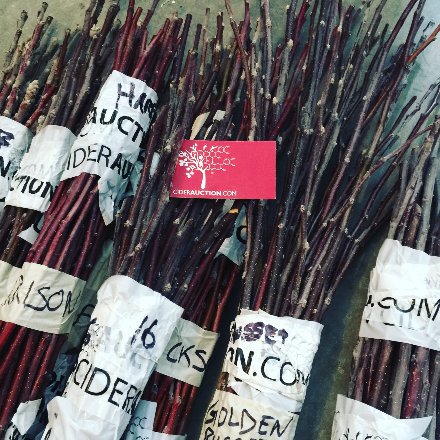 Binet Rouge - CiderAuction